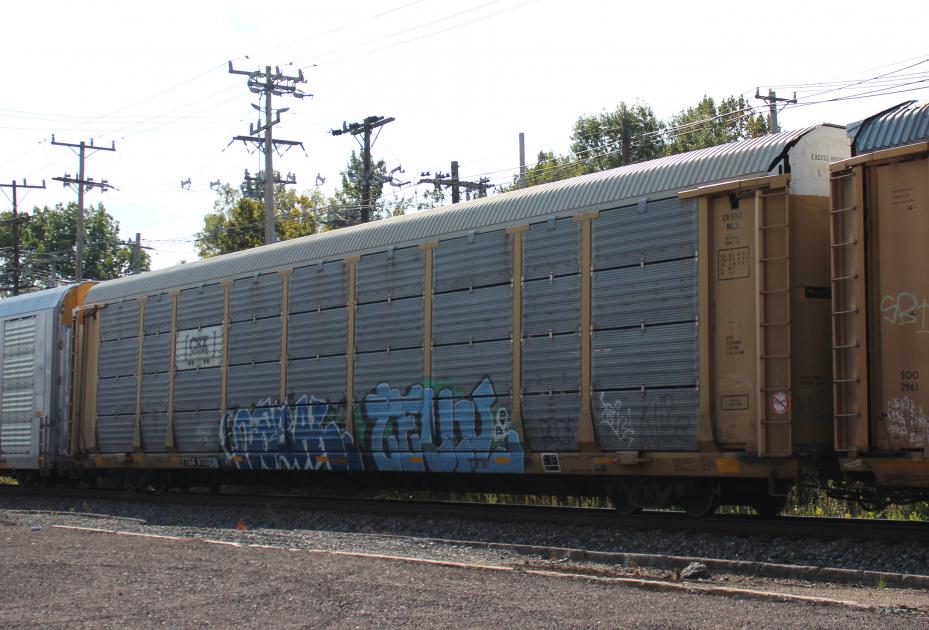 TTGX 973308-Rack class ML2L | Conrail Photo Archive